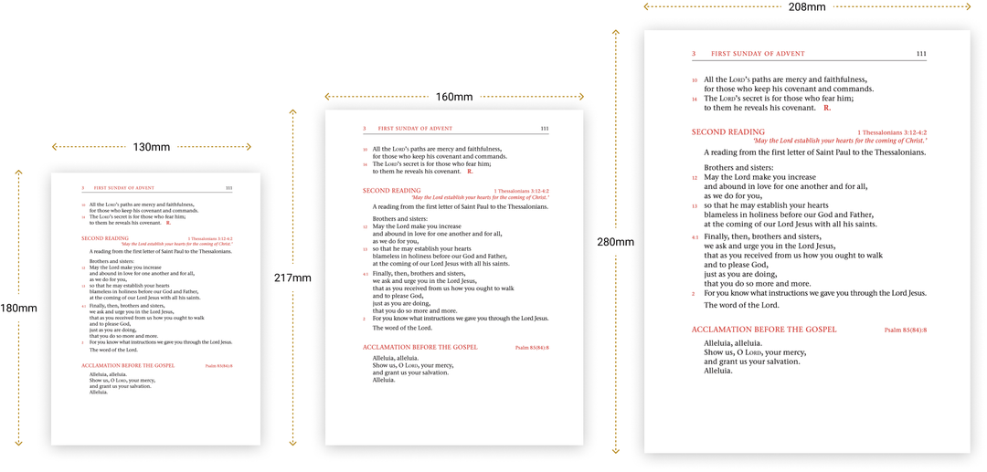 The New Lectionary 2024